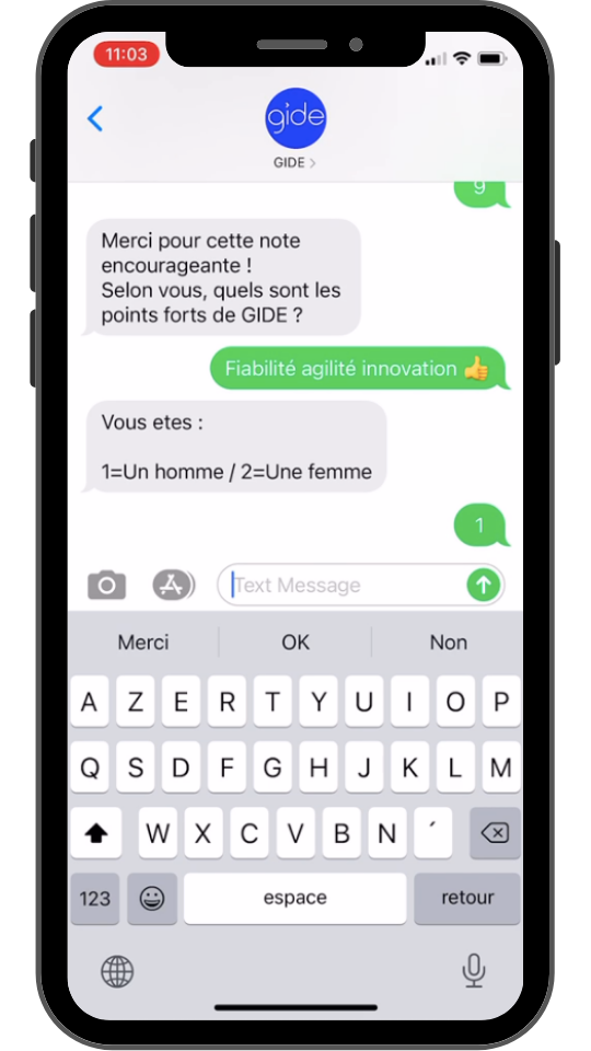 CAWIbot: a chatbot for mobile and conversational surveys - GIDE